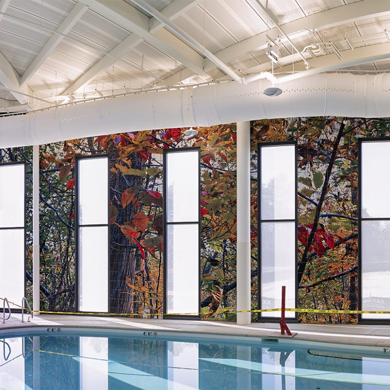 Images In Tile USA | Custom Tile Murals